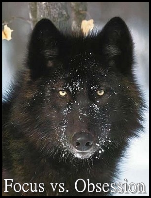 Focus vs. Obsession: Why You Should Know the Difference – GREGG SWANSON